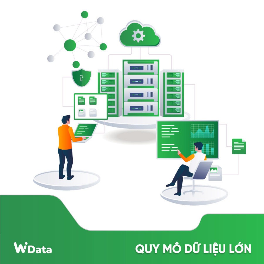 WiData